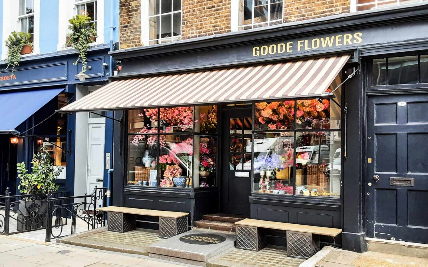Striped Awning Fabric at Goode Flowers – Stylish & Durable
