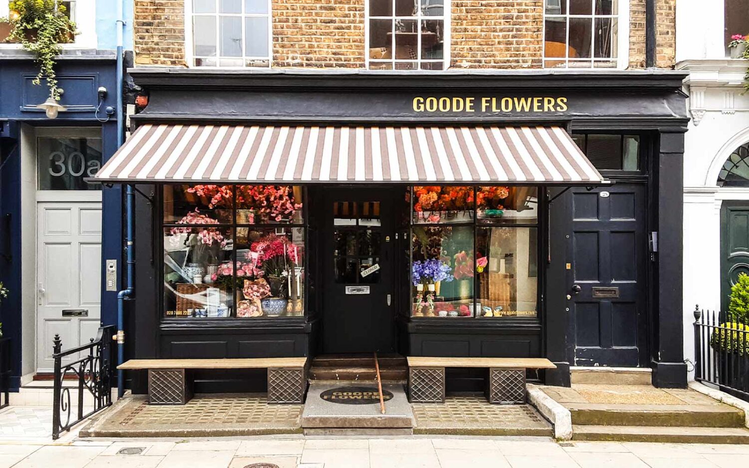 Striped Awning Fabric at Goode Flowers – Stylish & Durable